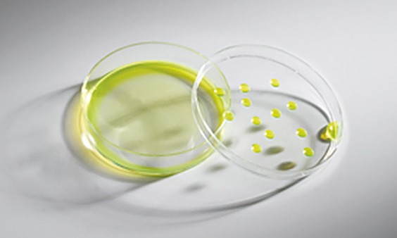 HV-X ジェネレーターシリーズ｜コロナ処理｜前処理・表面改質｜取り扱い製品｜製品案内｜第一メカテック 表面処理技術 事業紹介ページ